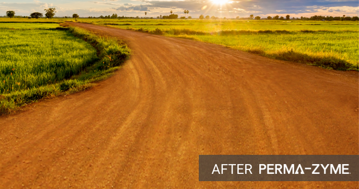 Perma-Zyme: Soil Stabilization for Unpaved Roads, Paved Roads, & More