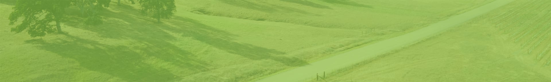 Perma-Zyme: Soil Stabilization Solution for Unpaved and Paved Roads ...