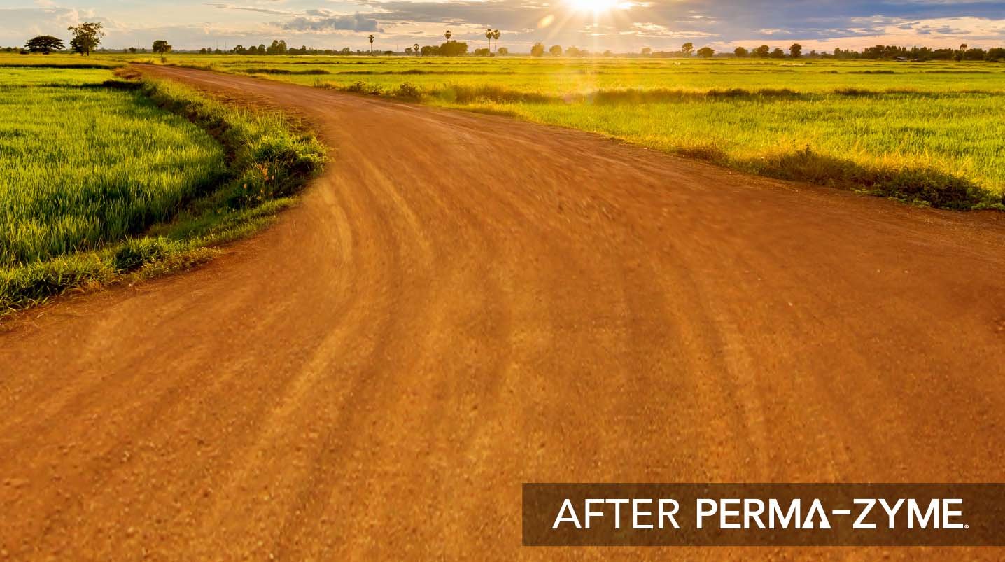 Perma-Zyme: Soil Stabilization Solution for Unpaved and Paved Roads