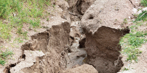 Types of Soil Erosion and Their Environmental Impact