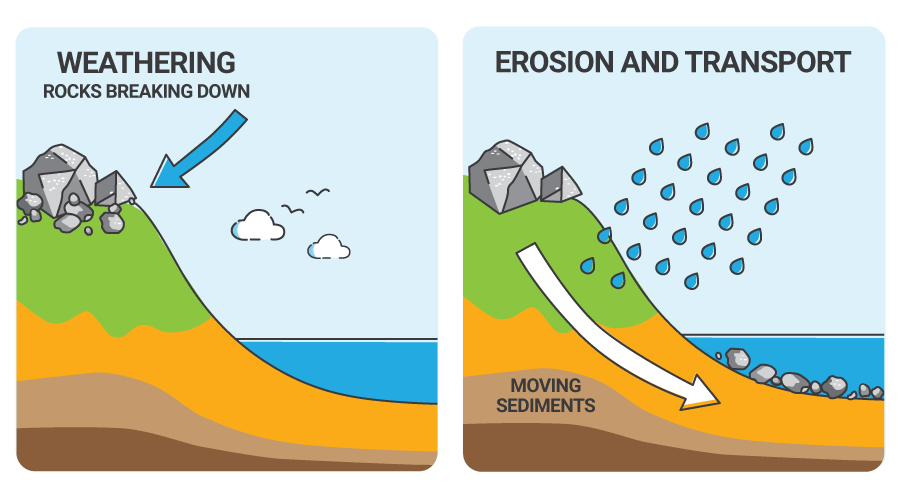 Types of Soil Erosion and Their Environmental Impact