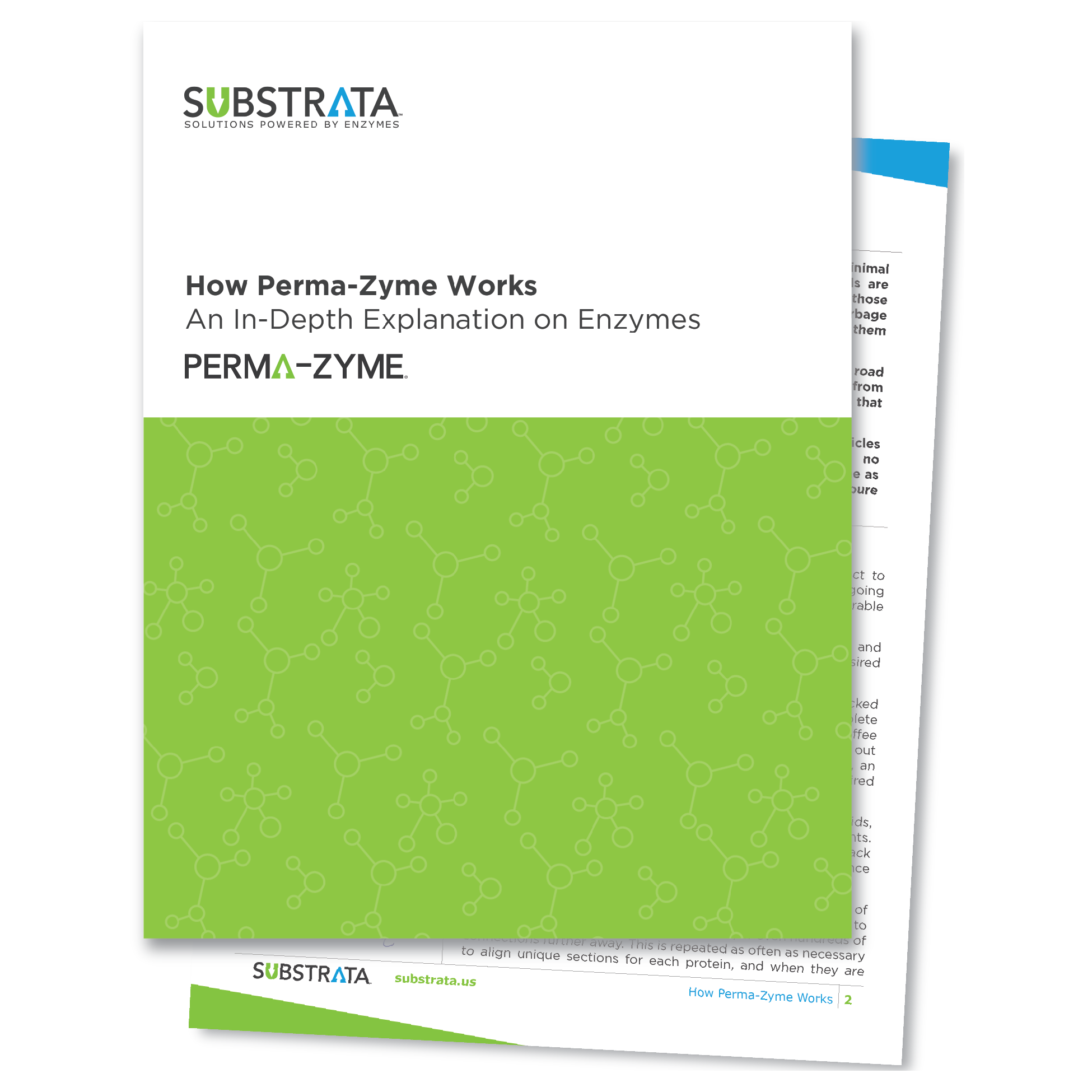 Perma-Zyme Whitepaper: How Perma-Zyme Works
